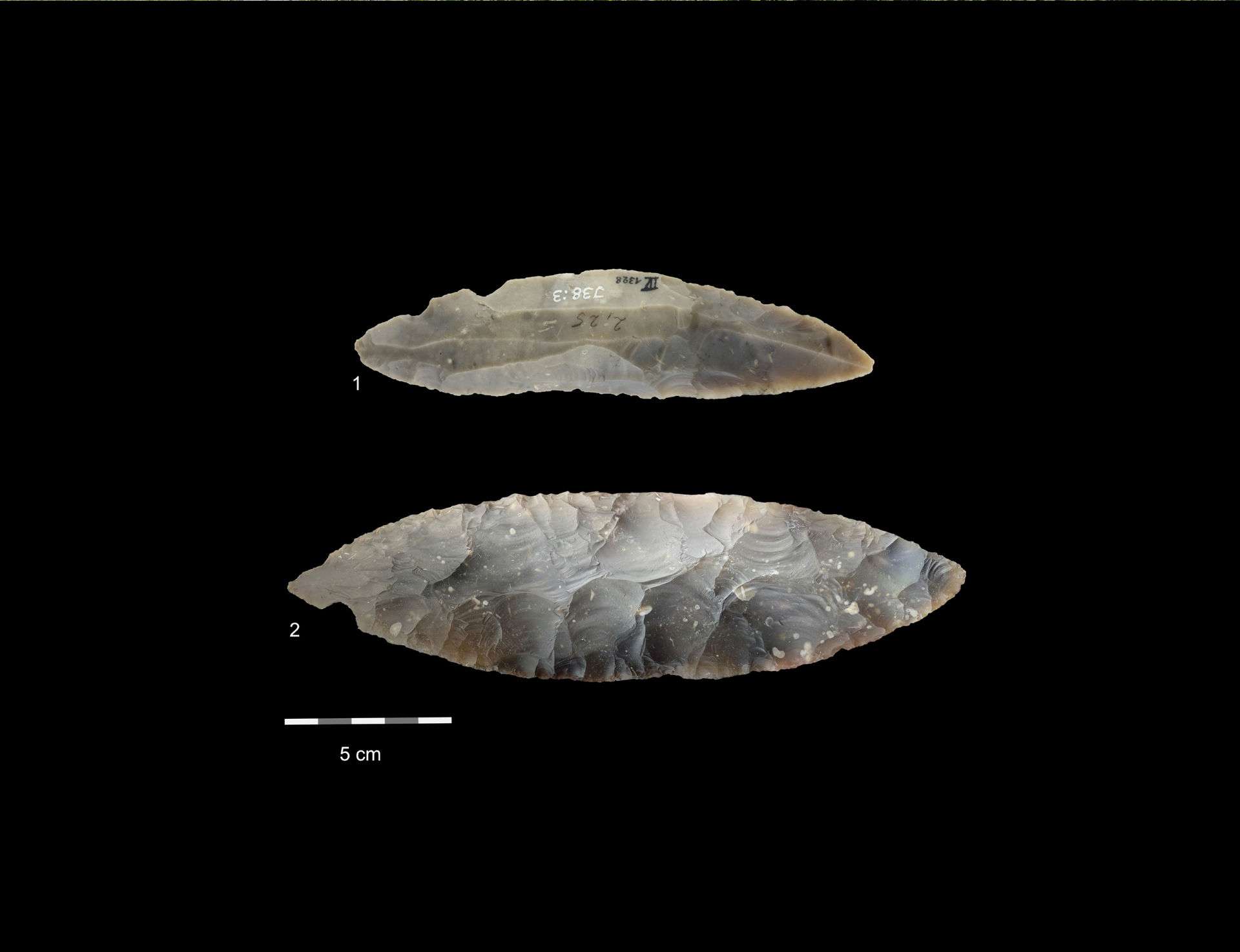 Homo sapiens erreichte das nördliche Europa schon vor 45.000 Jahren